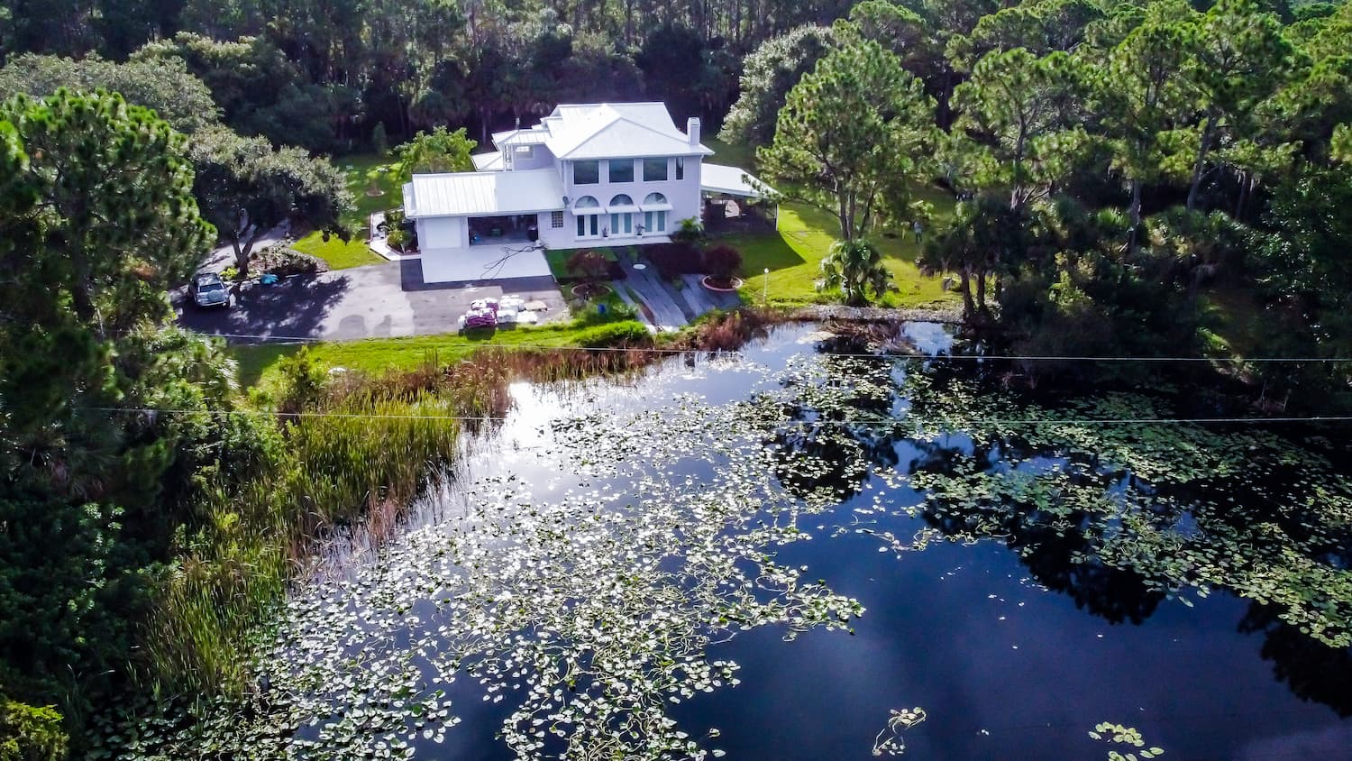 Aquatic Weed Removal - Pond Guru