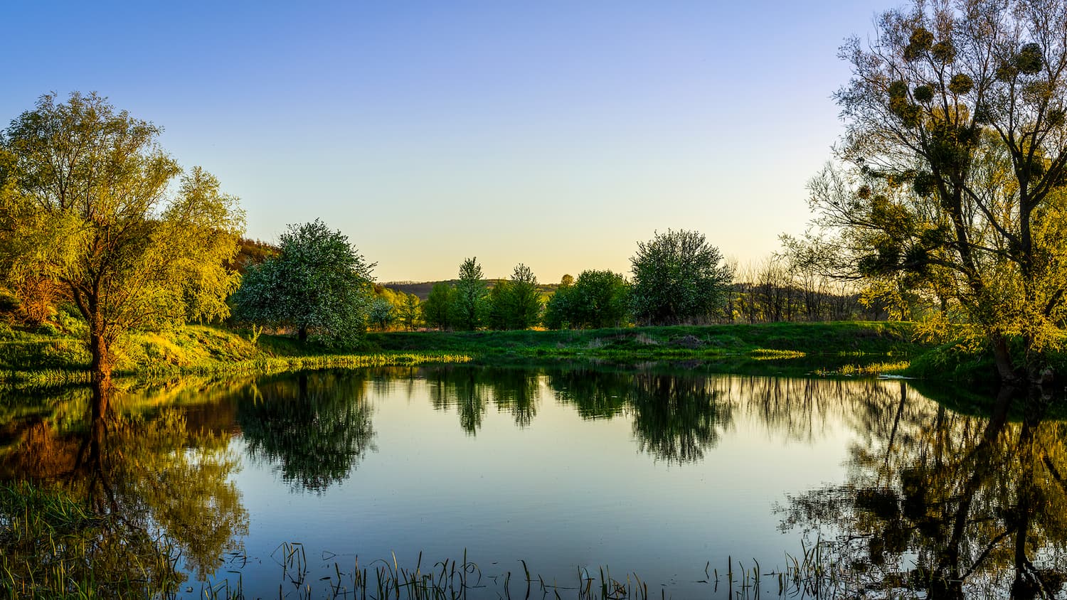 Hydraulic Pond Dredging - Pond Guru